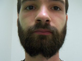 ⊛ Barba Tenedor Frances 【Guía Definitiva enero del 2026】